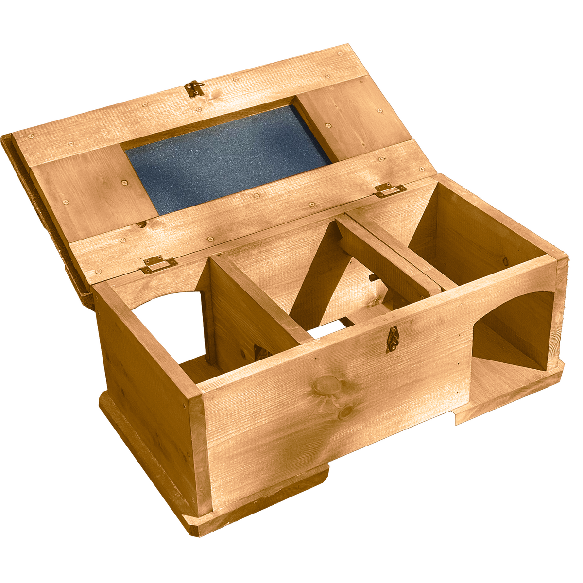 WiFi Camera Hedgehog Home – FinchKam